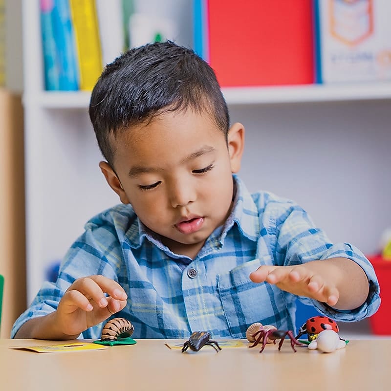 Insect Lore Life Cycle Figurines Set, 24 Pieces – Personal Touch ...